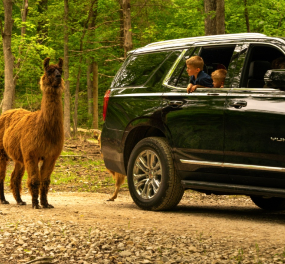 Wilstem Ranch - Explore Southern Indiana